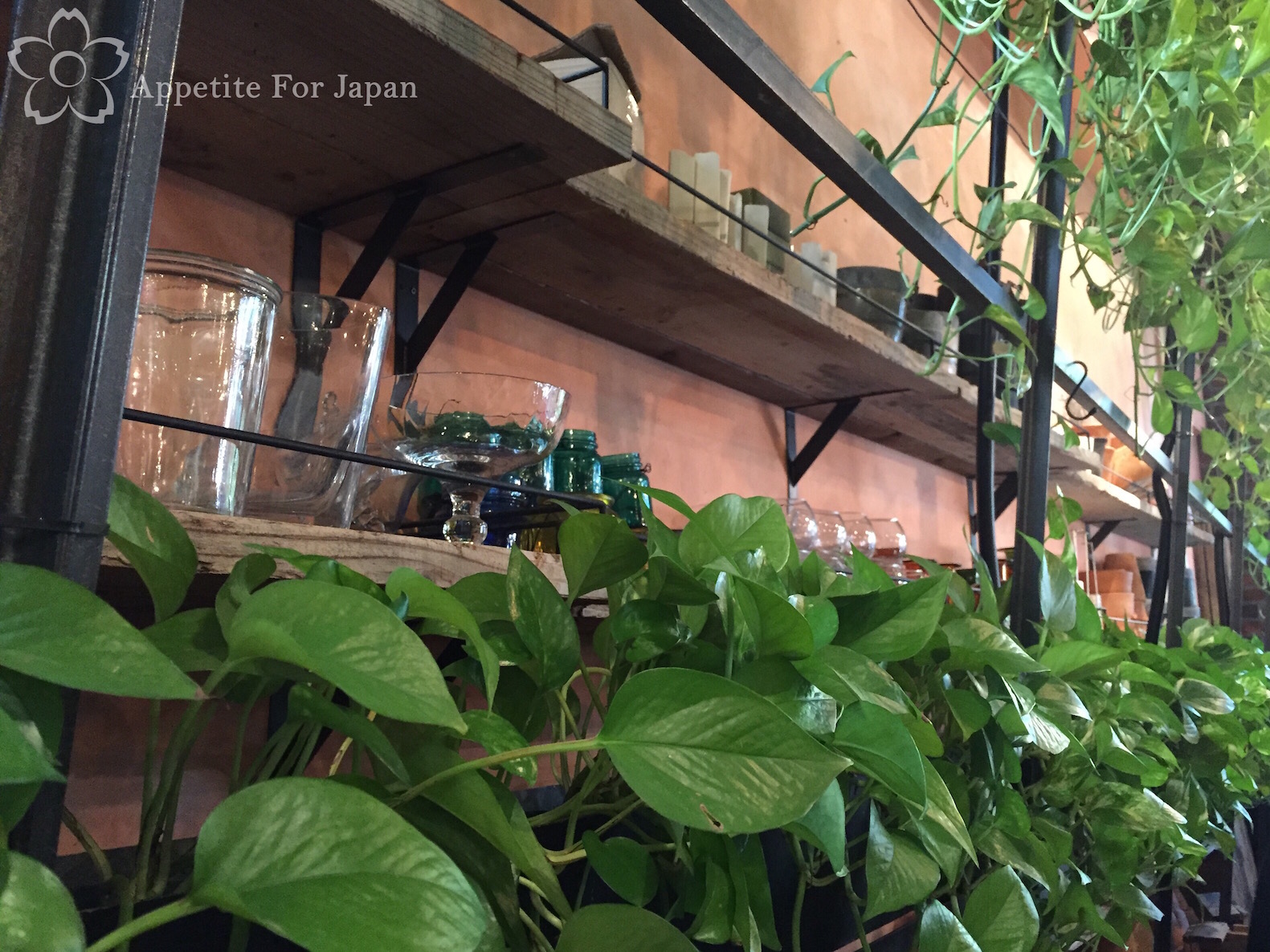 Aoyama Flower Market Tea House – Appetite For Japan
