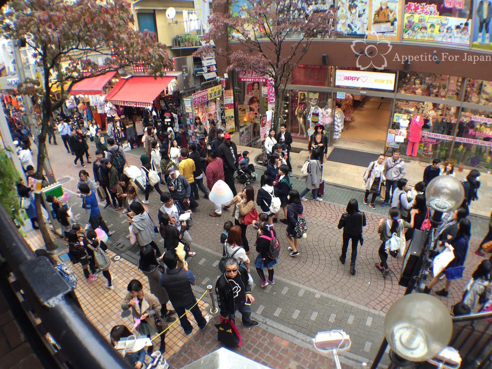 Totti Candy Factory: Harajuku’s giant cotton candy – Appetite For Japan